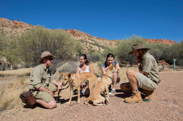 How to do Alice Springs and Uluru with kids - Family Travel