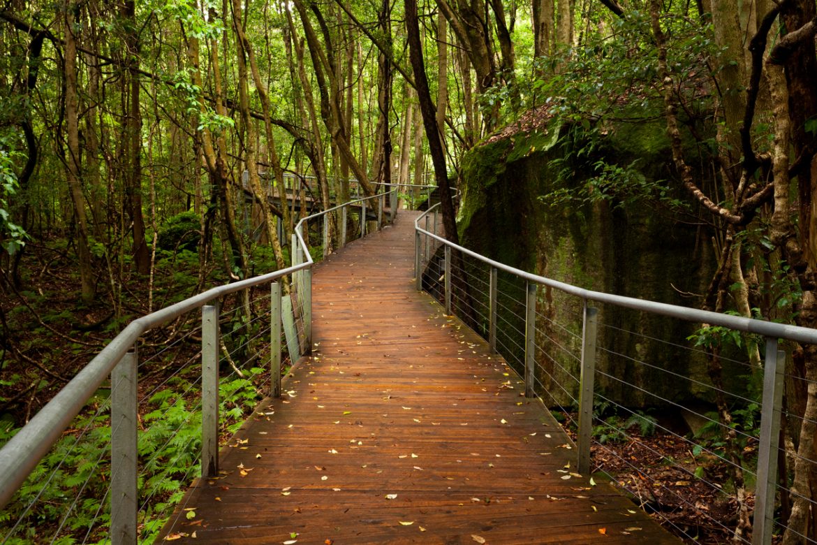 Why you need to do Blue Mountains Christmas in July - Family Travel