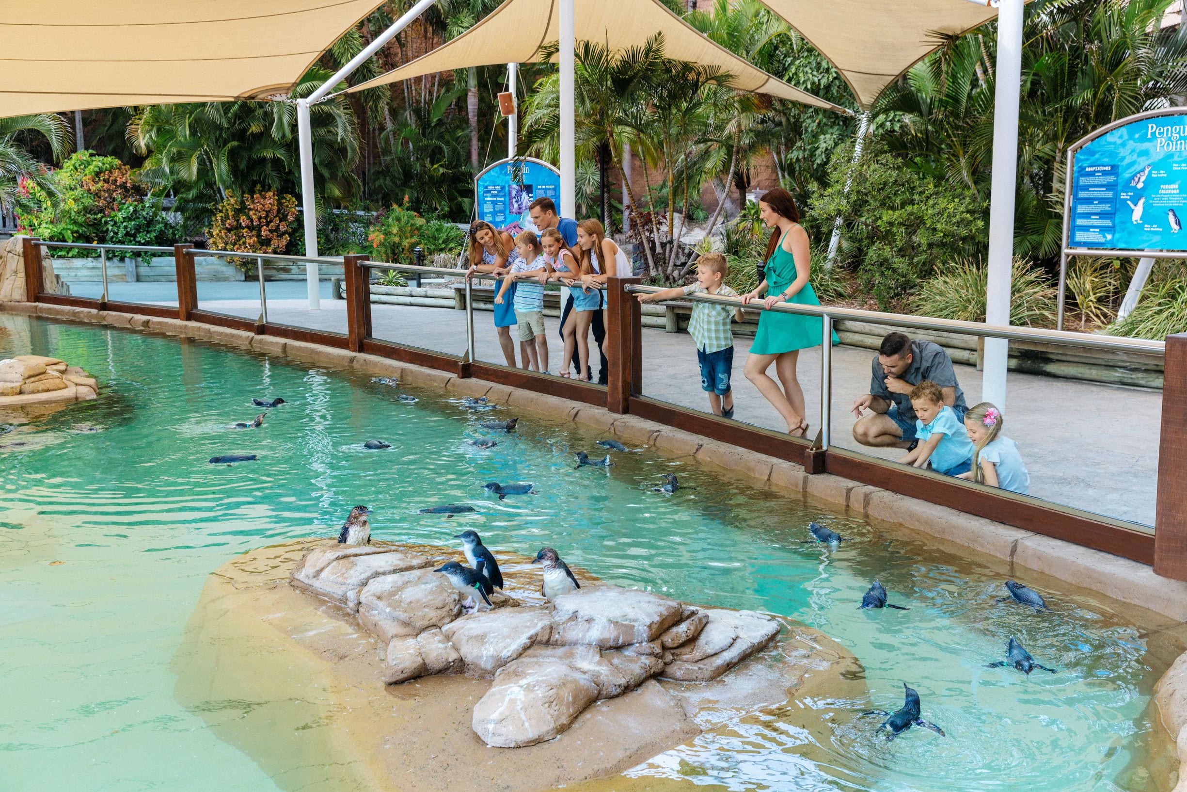 Why Sea World Resort makes a family-friendly splash - Family Travel